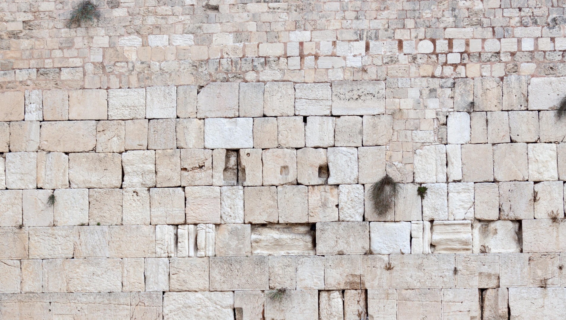 JNF Canada - Building the Foundations of Israel's Future